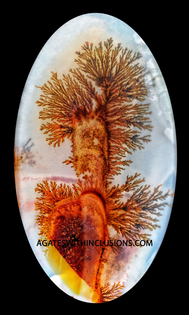 Agate Information – Agates With Inclusions