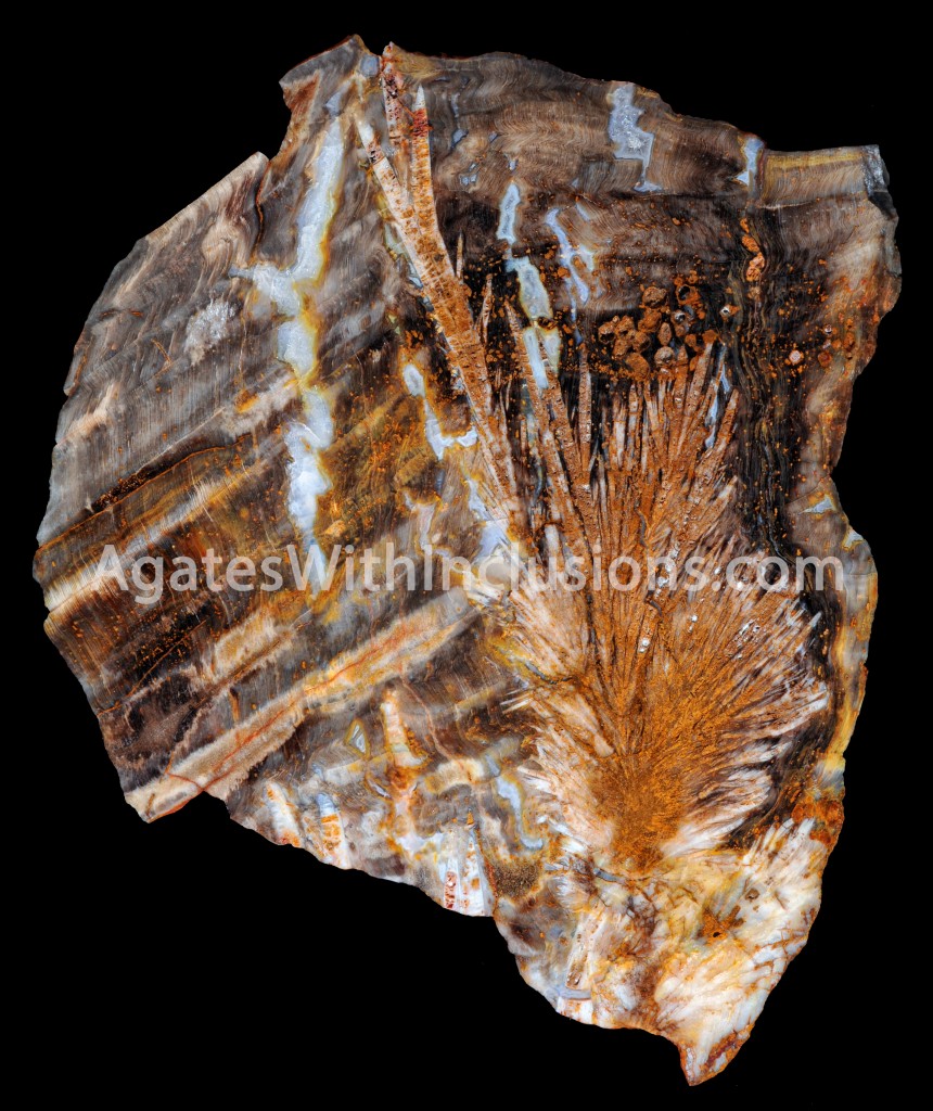 Oregon – Agates With Inclusions