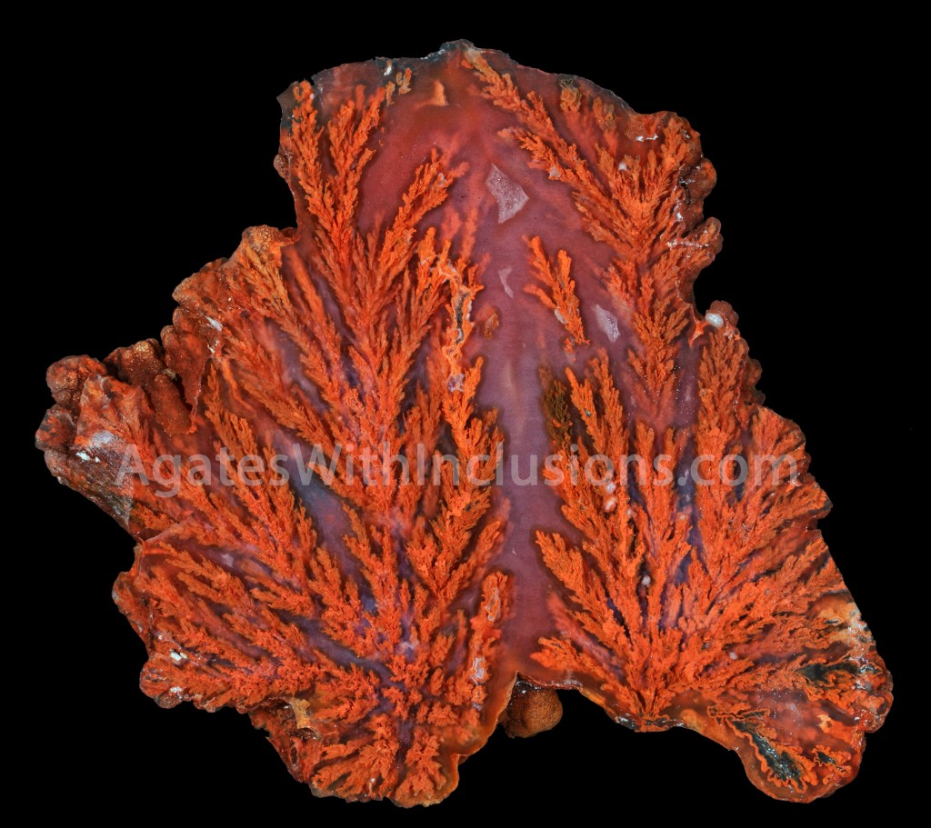 Texas – Agates With Inclusions