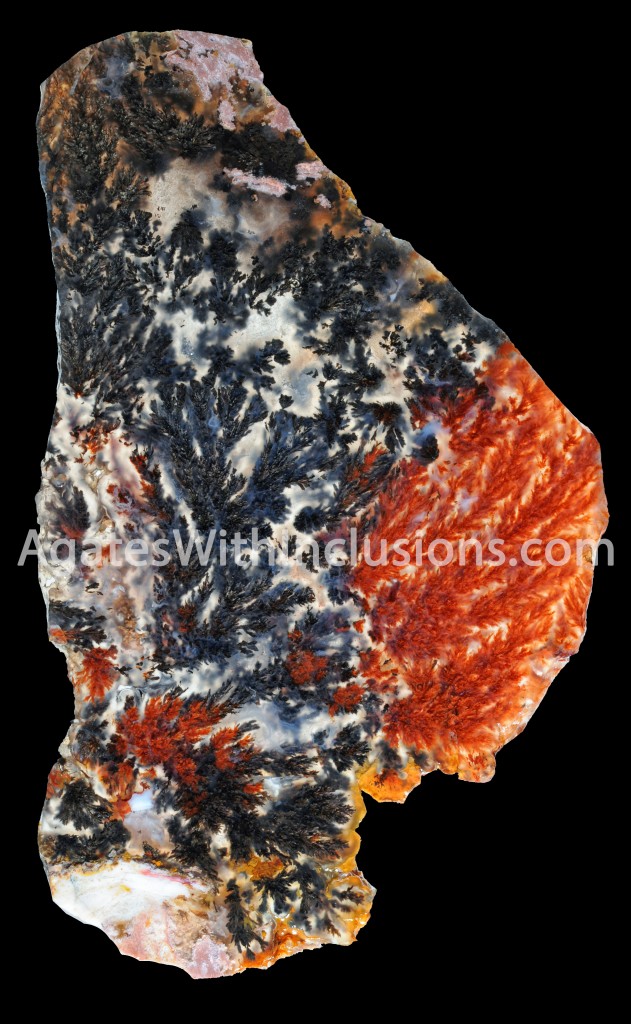 Oregon – Agates With Inclusions