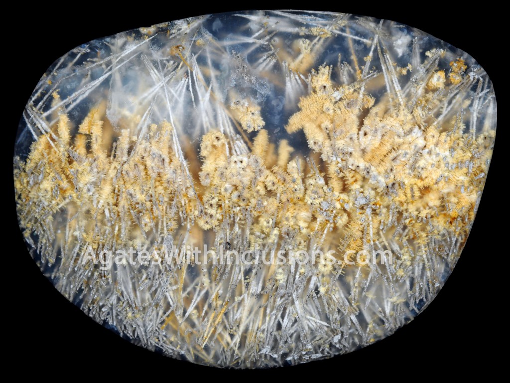 Oregon – Agates With Inclusions