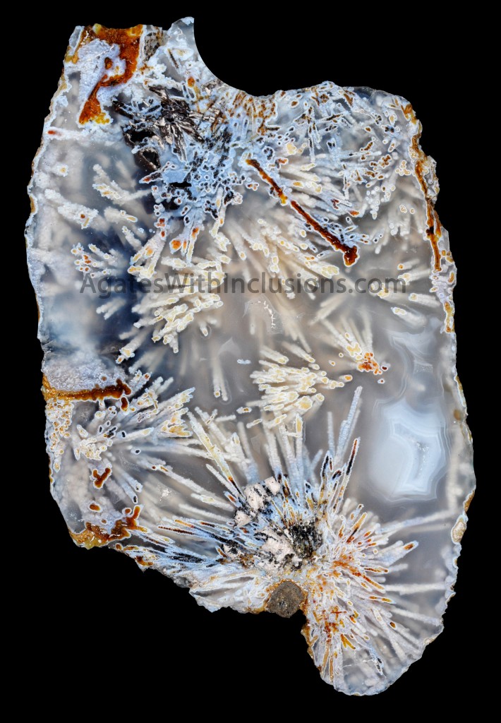 Oregon – Agates With Inclusions
