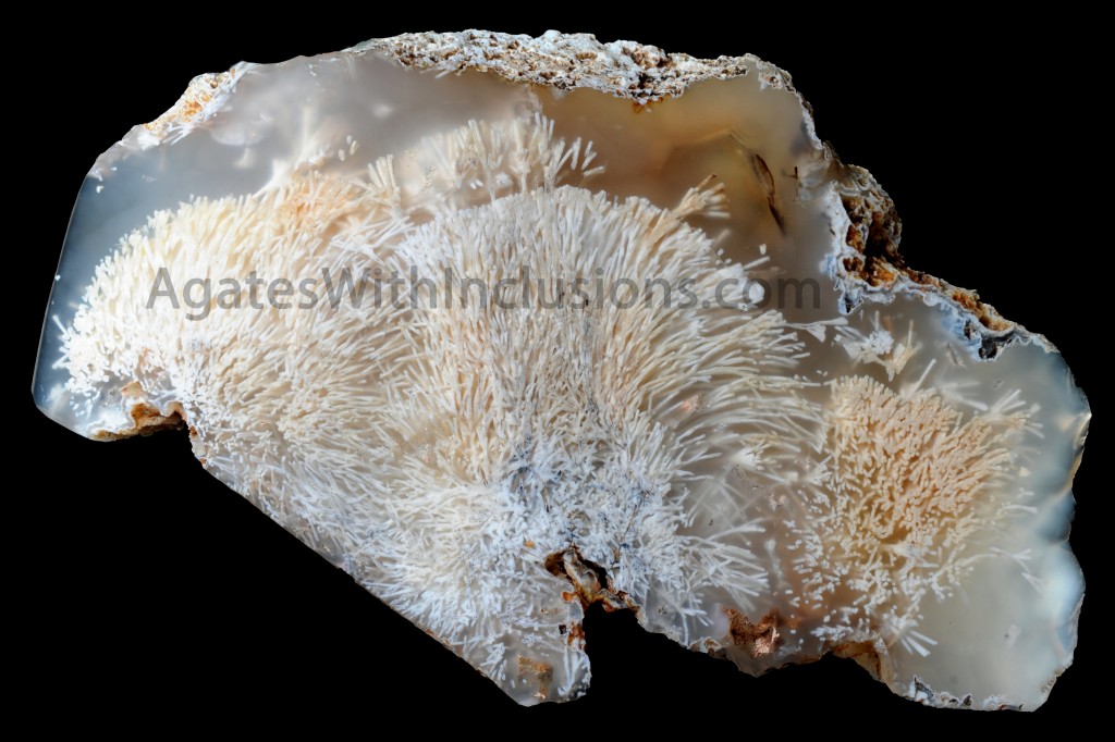 Oregon – Agates With Inclusions